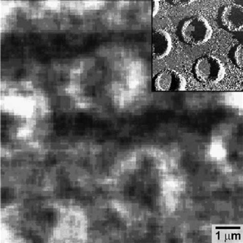 Fluorescence Nsom Image Of Arrays Of Quantum Dots Patterned Into Ring