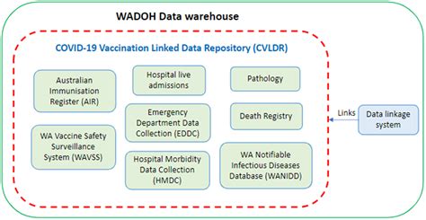 Using Data Linkage To Monitor Covid Vaccination International Journal Of Population Data
