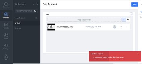 Assets Not Assign Support Squidex Support