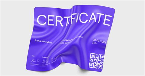 Ui Ux Certification Best Programs Flying Bisons