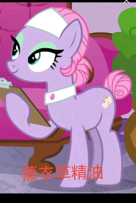 小马宝莉背景小马（1） 哔哩哔哩