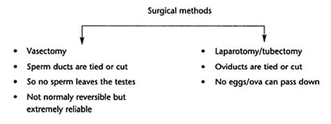 Birth Control Biology Notes For Igcse 2014