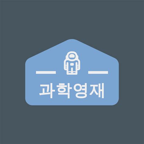 영재교육의 추진체계와 영재교육기관의 형태