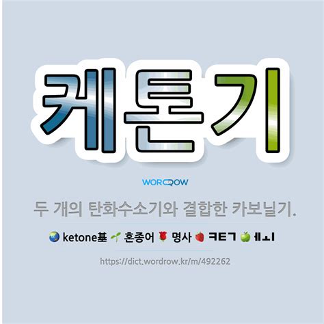 🌟케톤기 두 개의 탄화수소기와 결합한 카보닐기 표준국어대사전