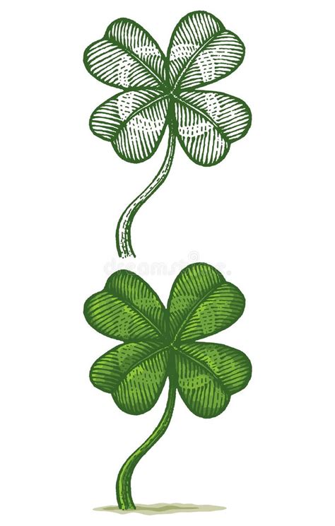 Cartoon Four Leaf Clovers Stock Illustrations 298 Cartoon Four Leaf