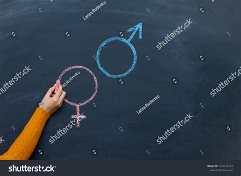 Gender Symbols Signs Male Female Sex Stock Photo Shutterstock