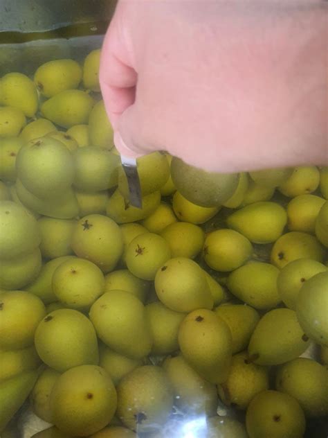 Ossama Bakr Posted On Linkedin