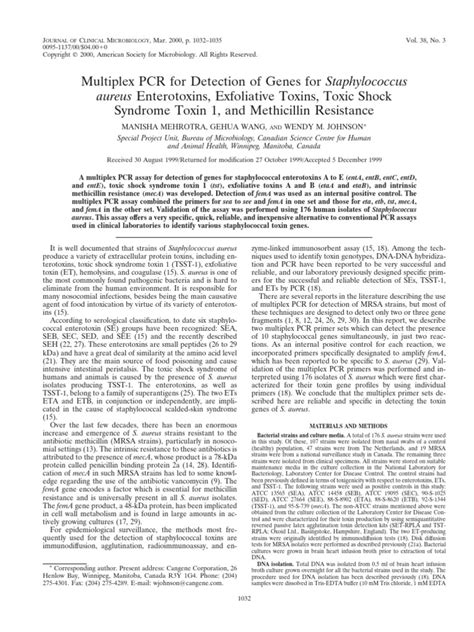 Multiplex Pcr For Detection Of Genes For Staphylococcus Pdf Staphylococcus Polymerase