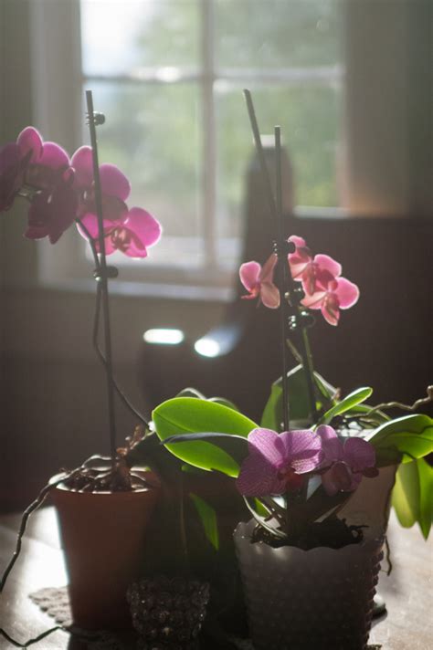 Pleasant View Schoolhouse Pleasant View Schoolhouse