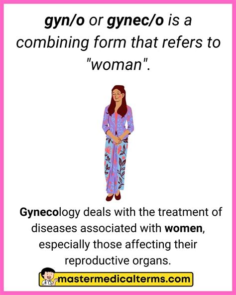 Common Word Roots For Female Reproductive System Master Medical Terms