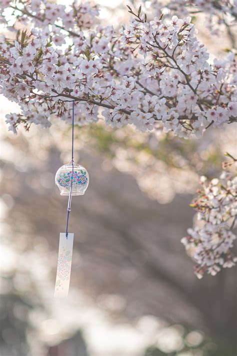 일본 바람 차임 신사 Pixabay의 무료 사진 Pixabay