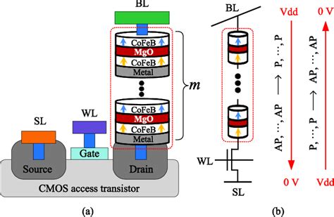 A Schematic Of The Proposed Dfstt Mram Cell Structure M Mtjs Are