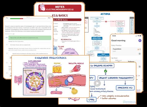 learning medicine made simple osmosis elsevier