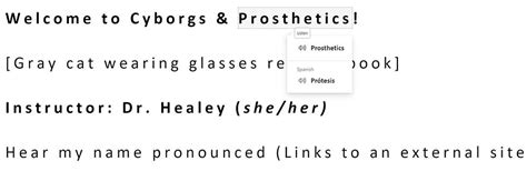 What Is Canvas Immersive Reader
