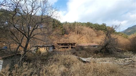 조용한 시골~작은 계곡~맑은 물이 졸졸 흐르는 개울가에 버려두기엔 아까운 빈집 O Youtube