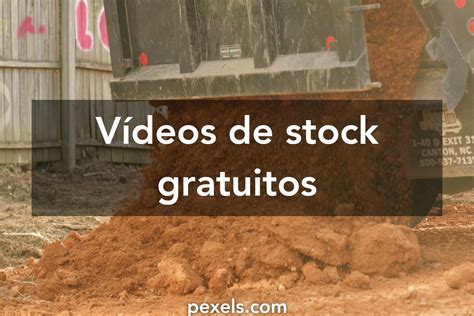 Los Mejores 50 Vídeos De Predatory Dumping · Banco De Imágenes Gratis