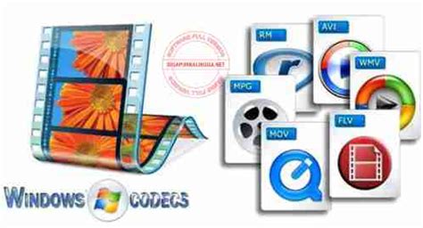 Mpeg Codec Download Windows Newgrupo