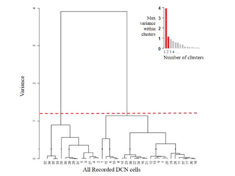 Hierarchical Clustering Tree Cells With Similar Parameters Were Joined