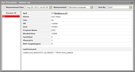 Sybase System Processes Test