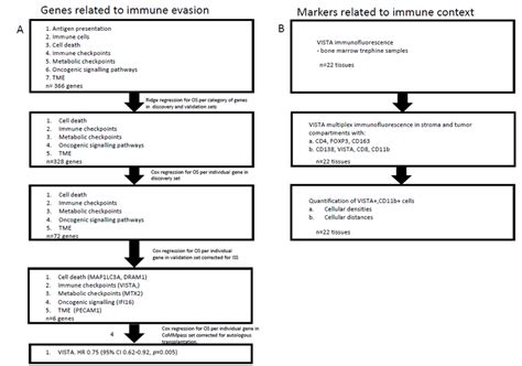 Chart Illustrating Workflow And Showing Analysis Steps Of Gene Download Scientific Diagram