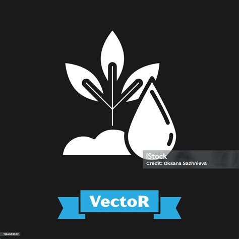 검은 색 배경에 고립 된 화이트 급수 식물 아이콘입니다 종자 및 묘목 관개 기호입니다 잎 자연입니다 벡터 일러스트레이션 0명에 대한 스톡 벡터 아트 및 기타 이미지 Istock