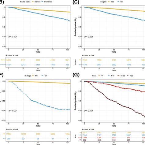 Kaplanmeier Curves Present The Diverse Overall Survival In Early‐onset