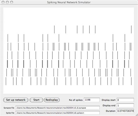 Spiking Neural Simulator With Stdp Adaptation