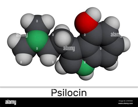 Psilocin Molecule Psychoactive Compound In Certain Species Of Mushrooms Molecular Model 3d