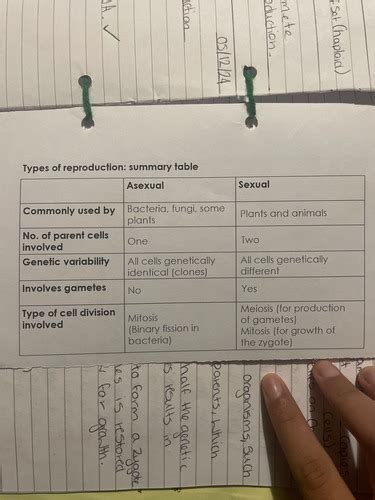 B6 Genetics Inheritance Flashcards Quizlet