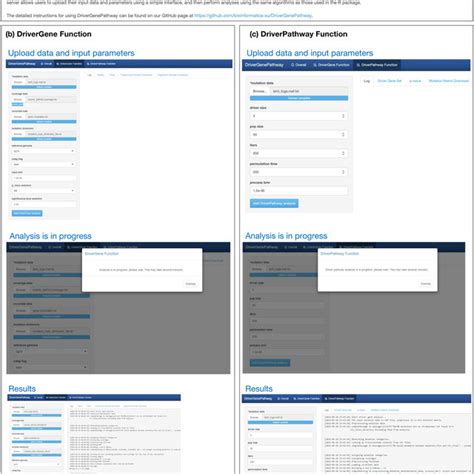 Drivergenepathway Webserver Including Drivergene And Driverpathway