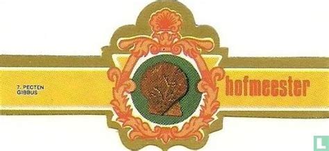 Pecten Gibbus 7 1972 Hofmeester Lastdodo