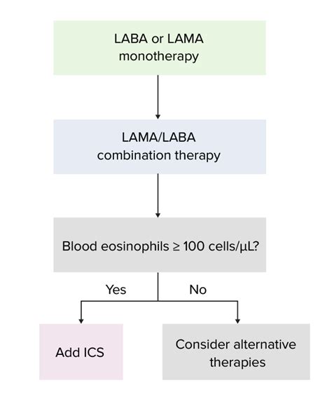 Chronic Obstructive Pulmonary Disease Copd Clinical Concise