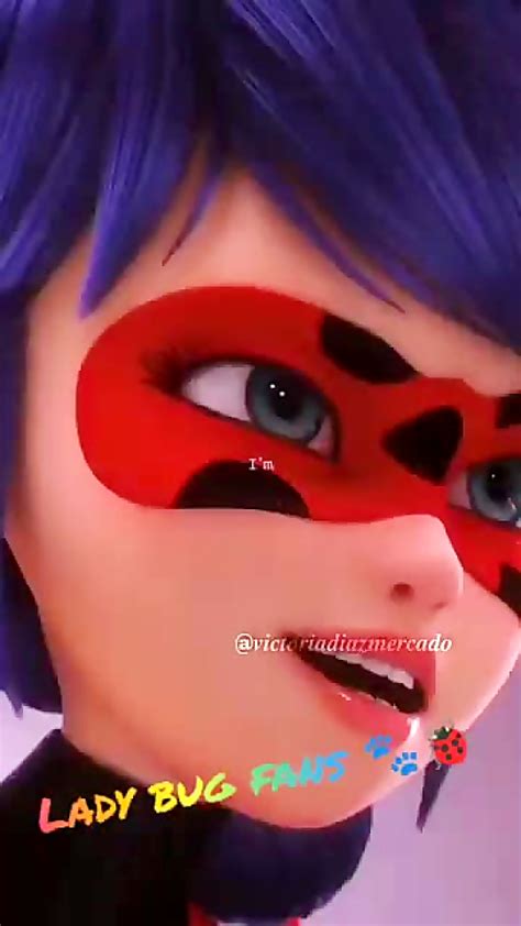 میراکلس لیدی باگlady Bug