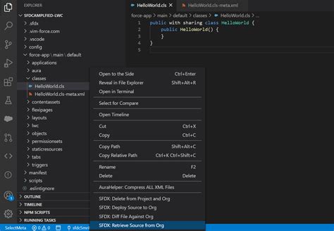 Chapter 3 Setup Salesforcedx Sfdx For Non Scratch Orgs