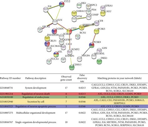 String Analysis Uncovering Protein Protein Interactions And Biological