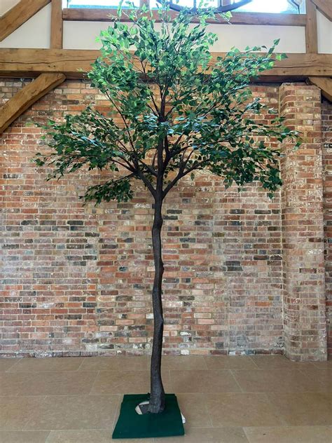 Statement Tree Hire For Wedding Event And Party — To Have And To Hire