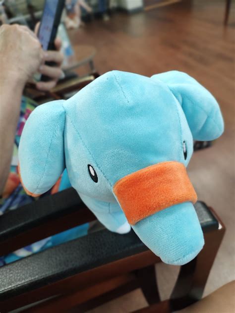My New Jazwares Phanpy Plush I Got At Hobby Lobby Just Now R Pokeplush