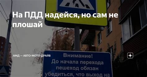 На ПДД надейся, но сам не плошай | АМД — Авто-Мото-Драйв | Дзен