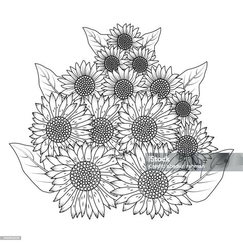 해바라기 선 낙서 예술 그림 벡터 디자인 피는 꽃잎 성인 색칠하기 책 페이지 0명에 대한 스톡 벡터 아트 및 기타 이미지 0명 검은색 꽃 식물 Istock