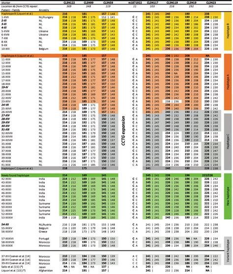 Haplotypes Of 59 Dm2 Patients Both Color And Blackwhite Versionna