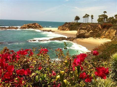 The 10 Best California Beaches 2026 Tripadvisor