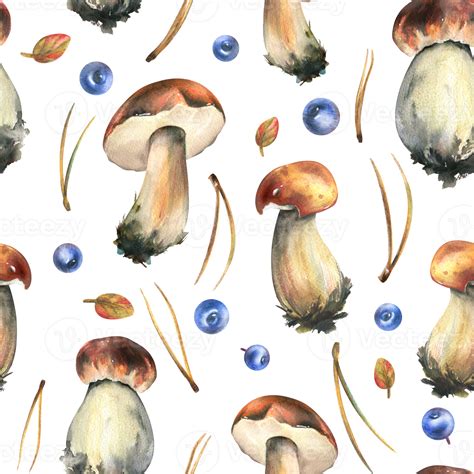 Forest Edible Mushrooms With Brown Caps Boletus Leaves Blueberries