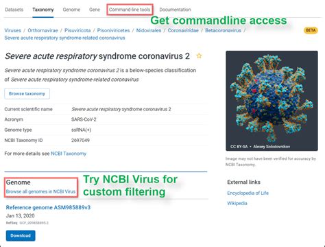 Ncbi Insights Ncbi Logo