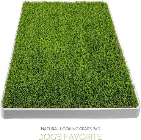 Sunturf Almohadilla De Césped Para Perros Con Bandeja Caja De Arena