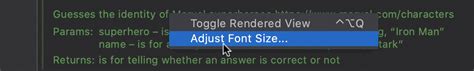 JSDoc Comments WebStorm Documentation