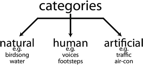 2 Sound Source Categorisation Examples Download Scientific Diagram