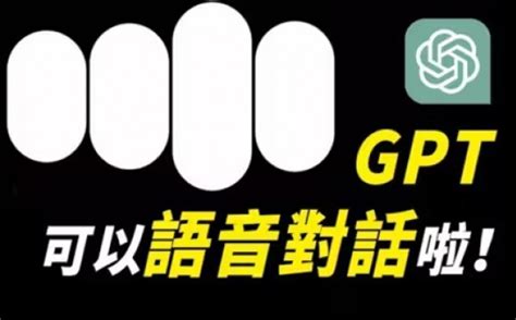 Webman应用市场 官方