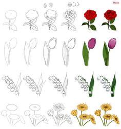 11 How To Draw Flowers Ideas In 2025 Flower Drawing Tutorials Flower
