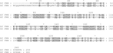 The Amino Acid Sequence Alignment Of The Fnr Proteins From E Coli And Download Scientific