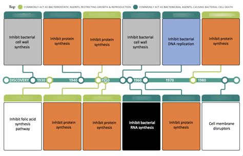 L10 Most Common Classes Of Antibiotics Diagram Quizlet
